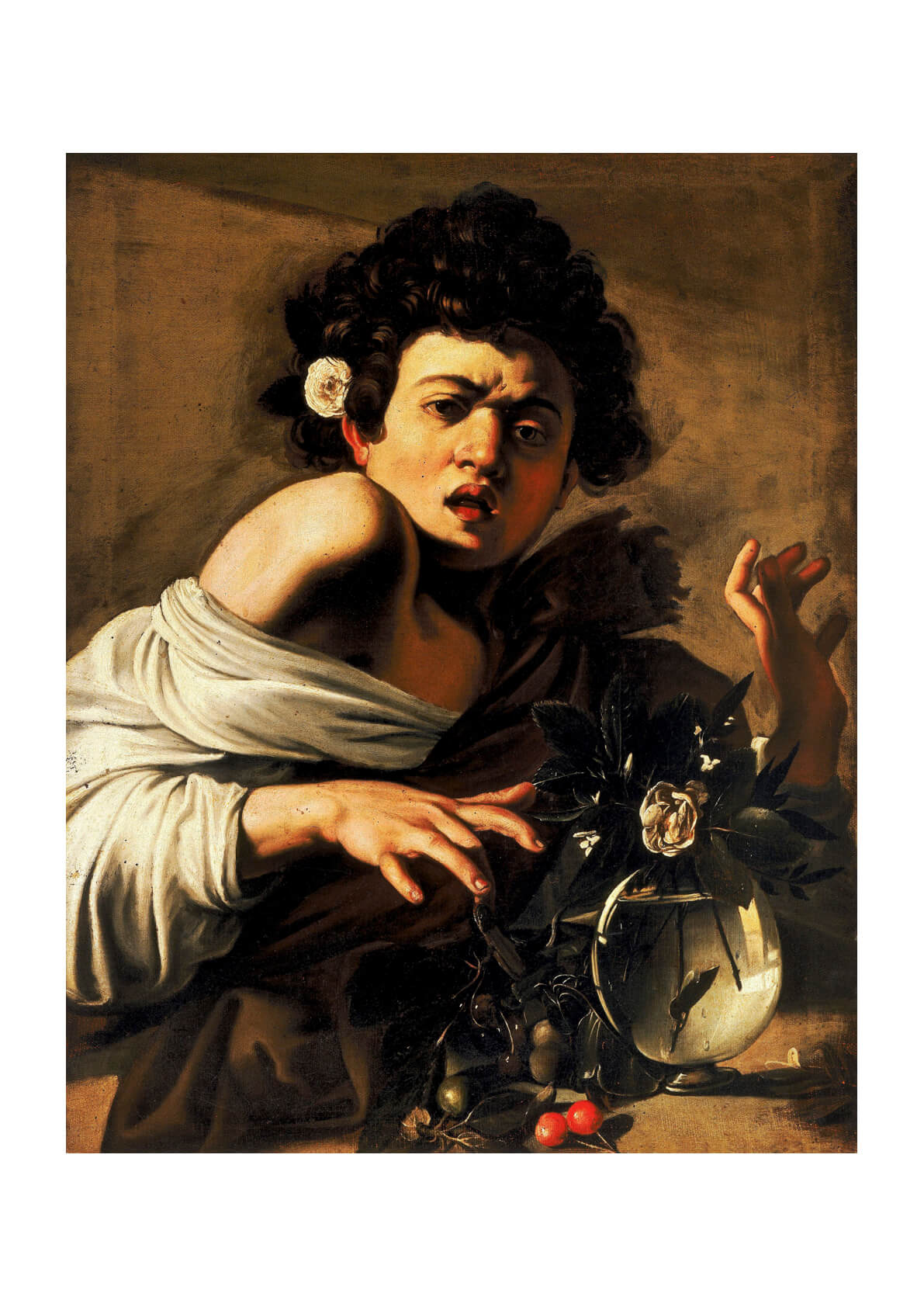 boy bitten by a lizard