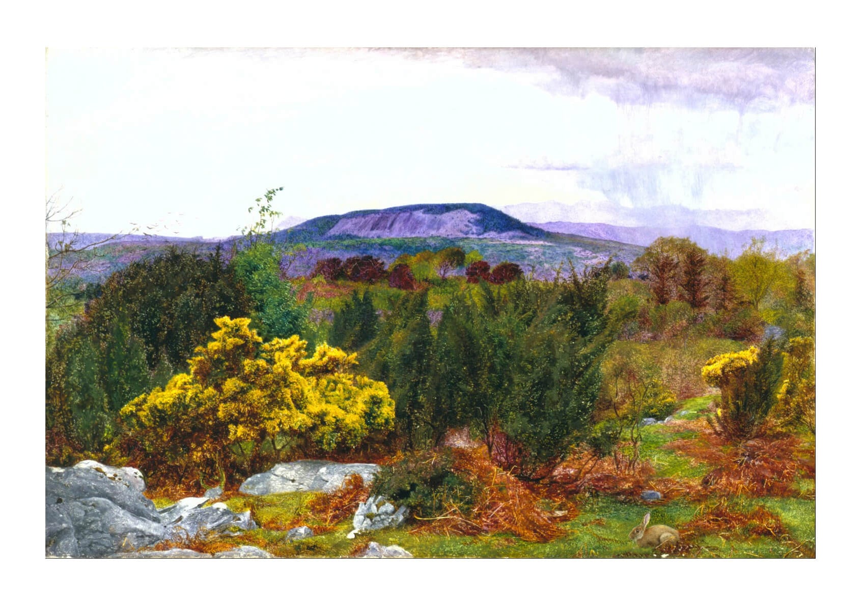 Daniel Williamson - Spring Arnside Knot — Spiffing Prints