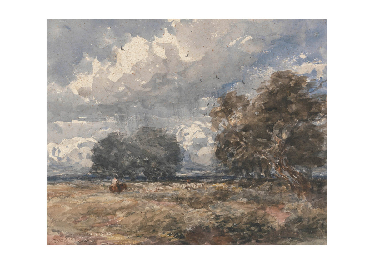 David Cox - Shepherding The Flock Windy Day — Spiffing Prints