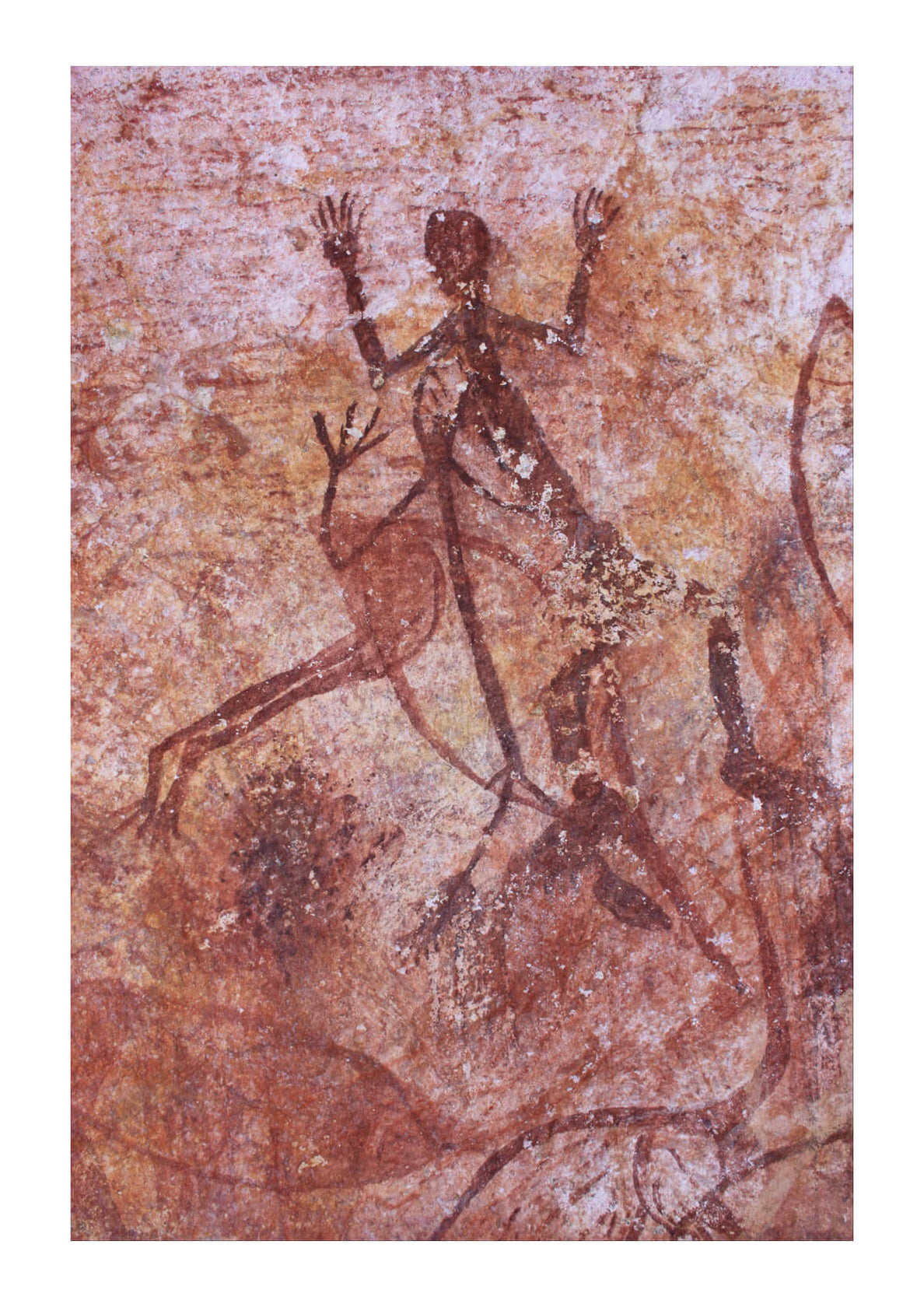 Early X-Ray Bird And Human Figure — Spiffing Prints