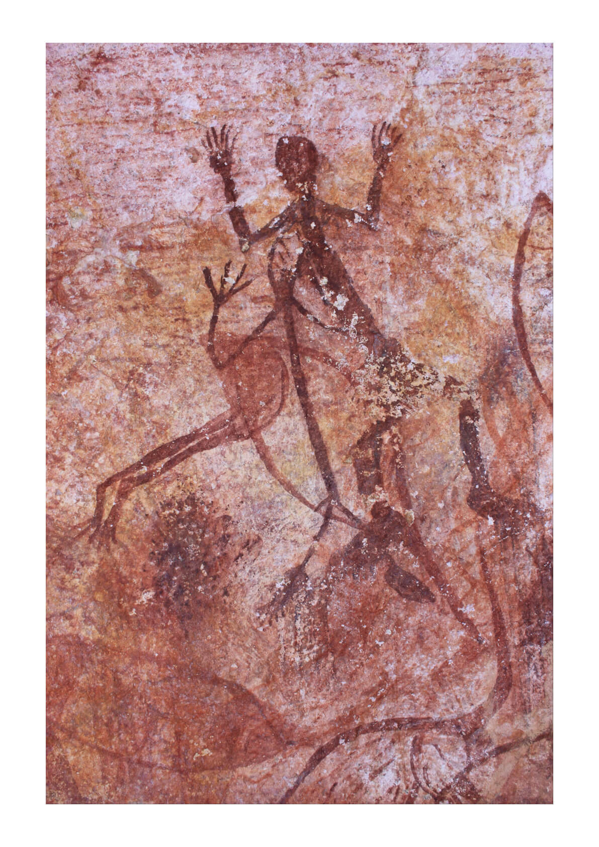 Early X-Ray Bird And Human Figure — Spiffing Prints