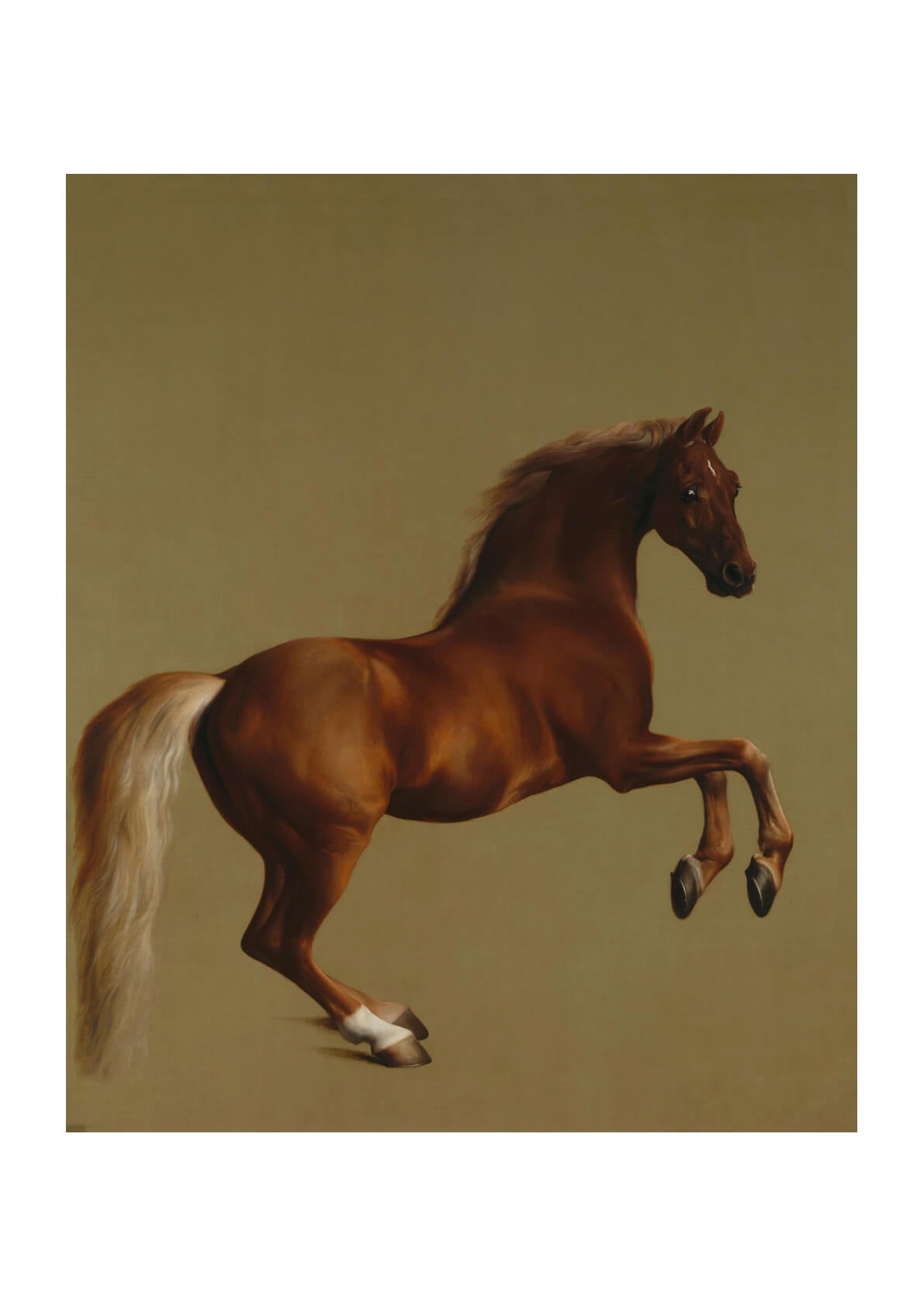 George Stubbs - Whistlejacket — Spiffing Prints