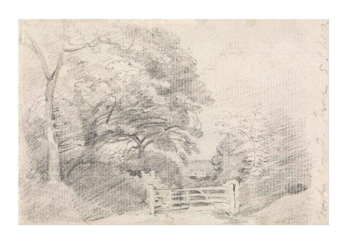 John Constable - Coombe Wood Sketch — Spiffing Prints