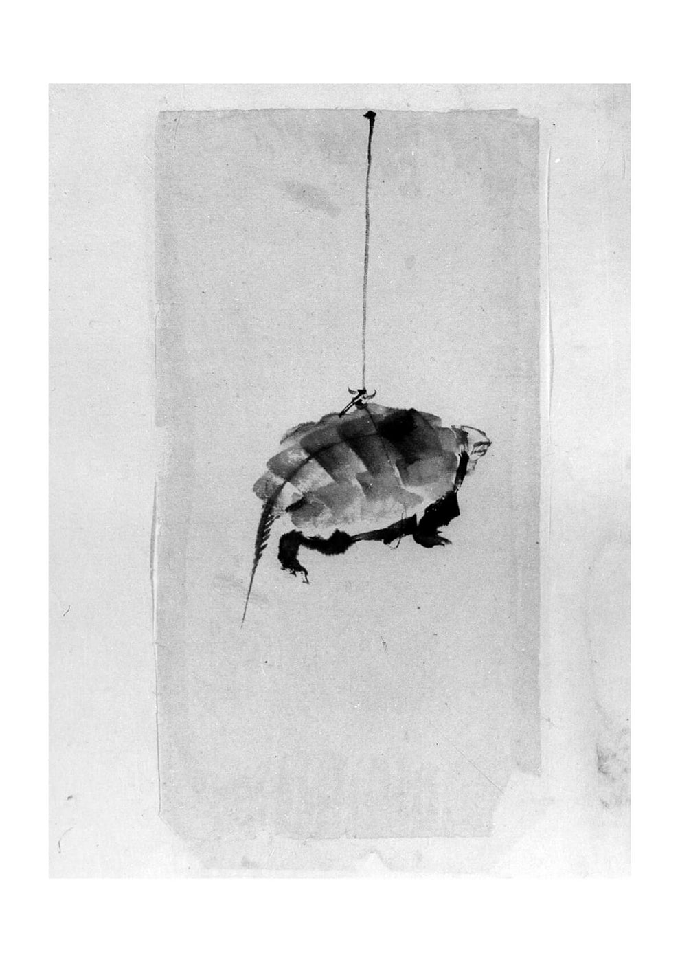 Katsushika Hokusai - Turtle Sketch — Spiffing Prints