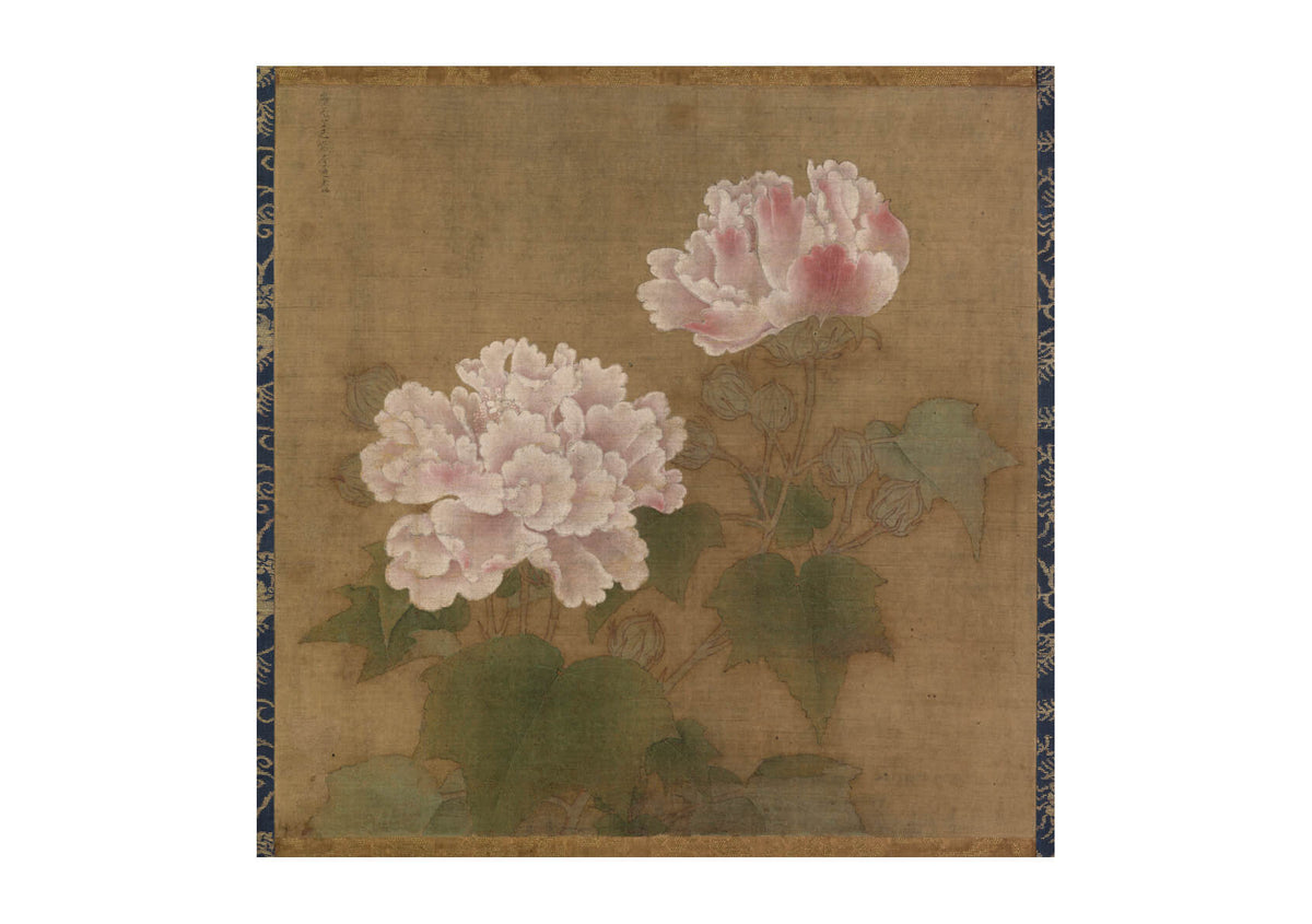 Li Di - Red and White Cotton Roses — Spiffing Prints