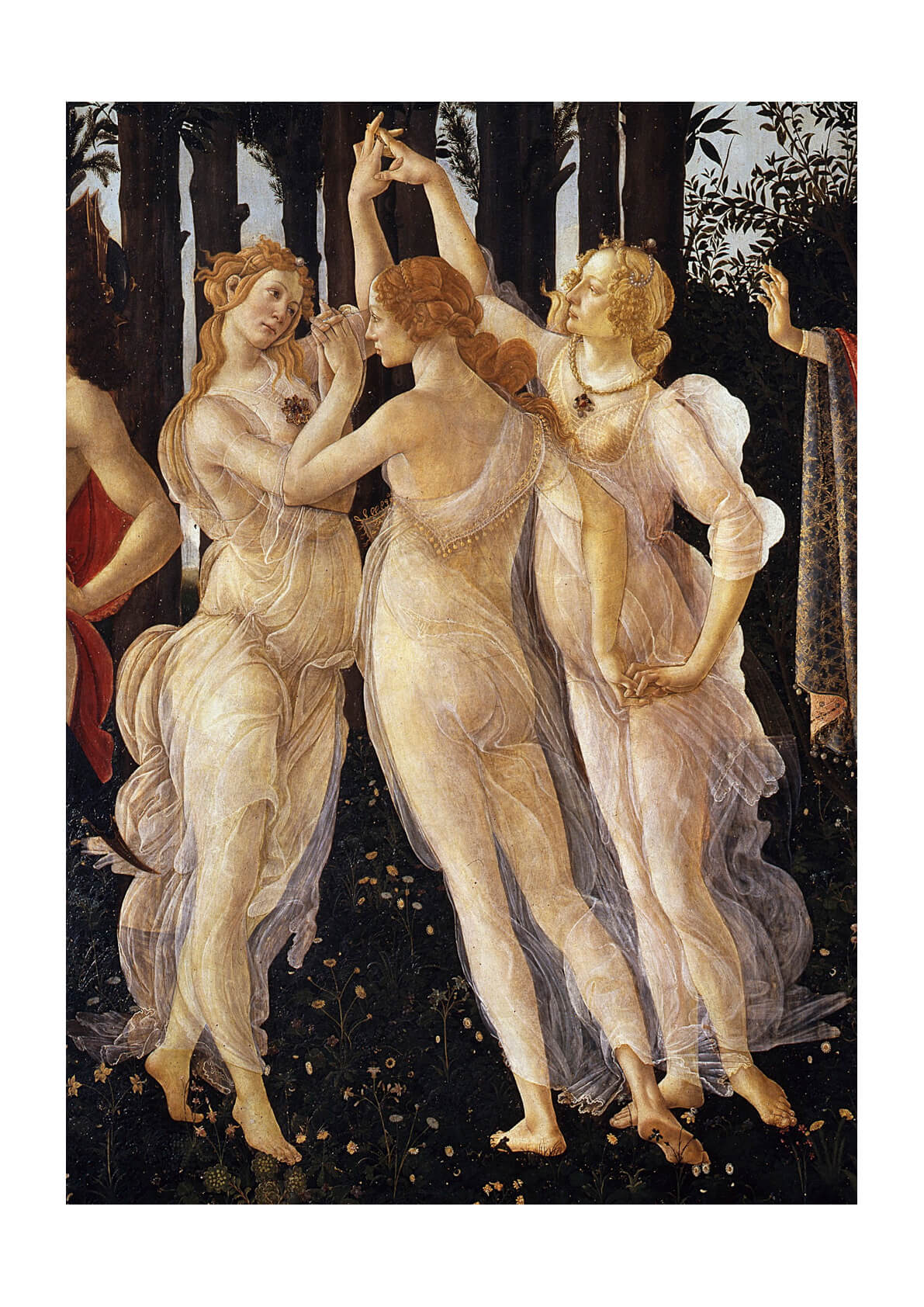 primavera three graces