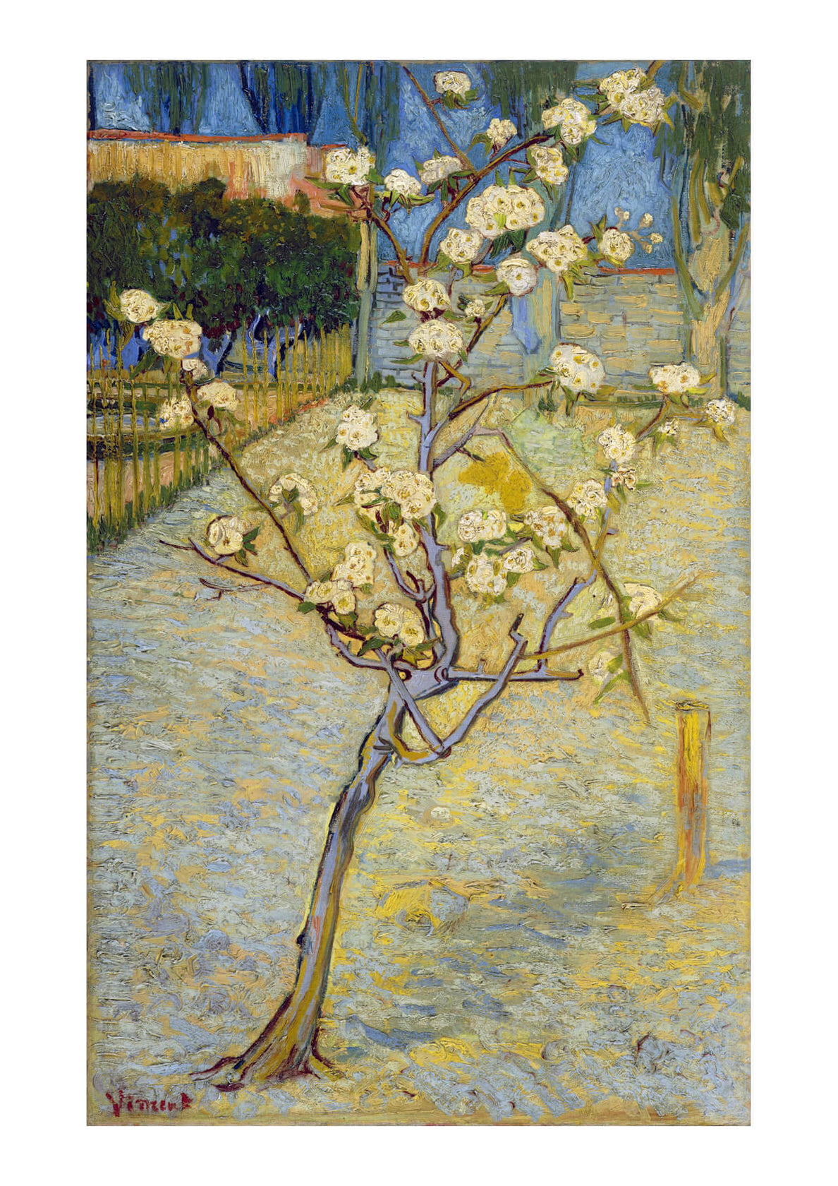 Vincent Van Gogh - Pear Tree in Blossom, 1888 — Spiffing Prints