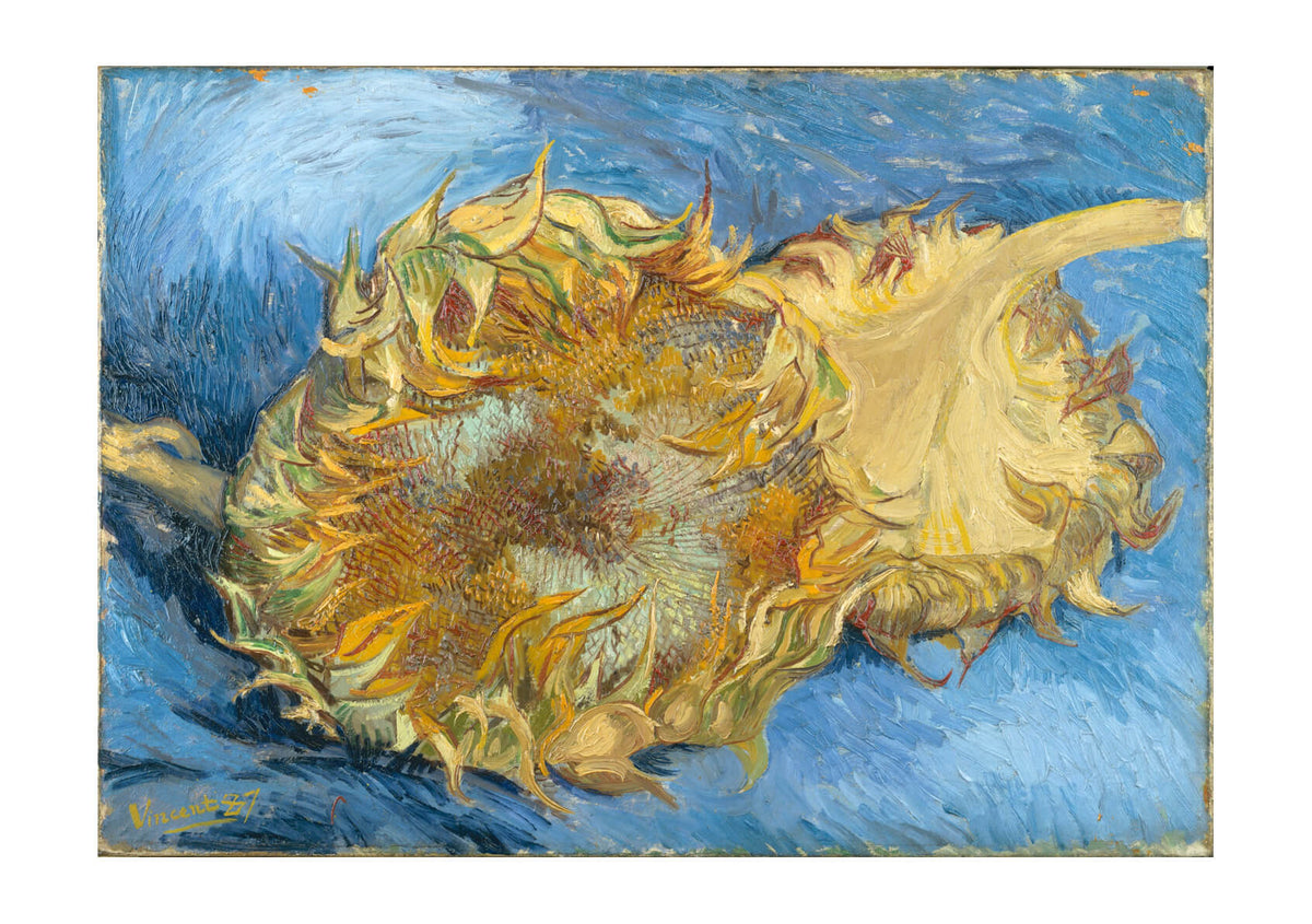 Vincent Van Gogh Still Life with Two Sunflowers, 1887 — Spiffing Prints