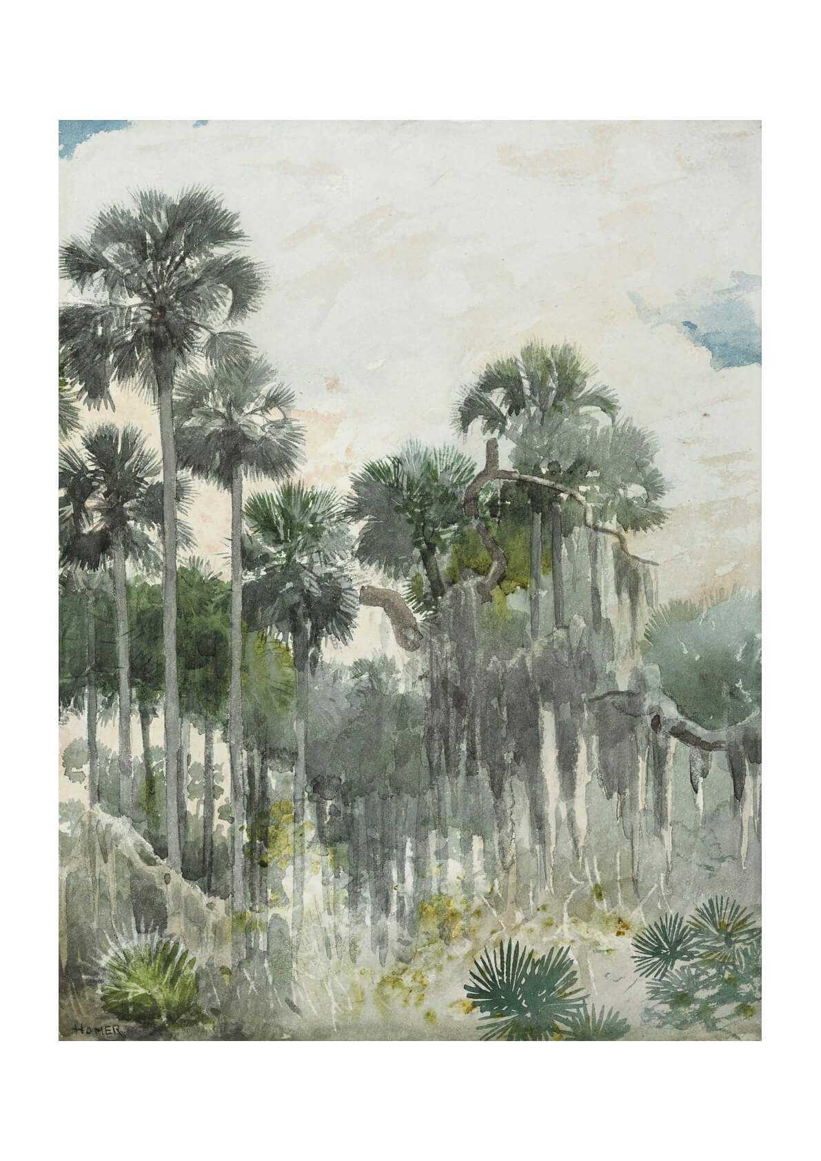 Winslow Homer - Florida Jungle — Spiffing Prints